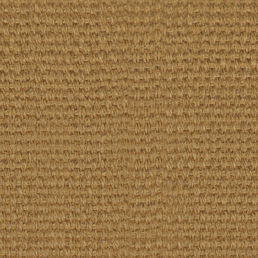 Sisal Carpets & Rugs